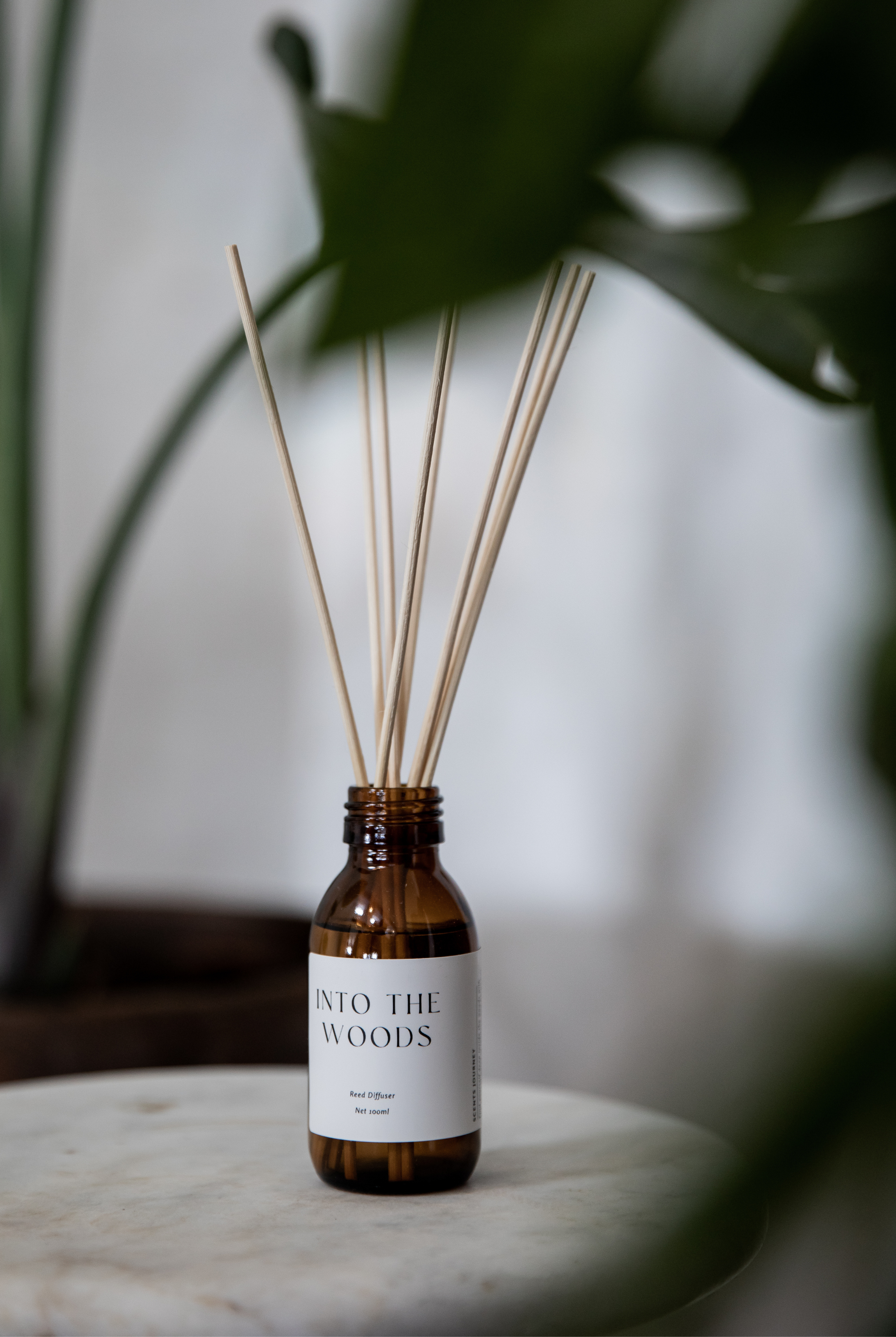 Into The Woods Reed Diffuser | Scents Journey Australia